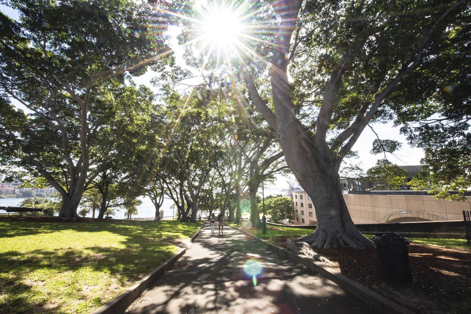 Dawes Point Park (Tar-ra) | The Rocks