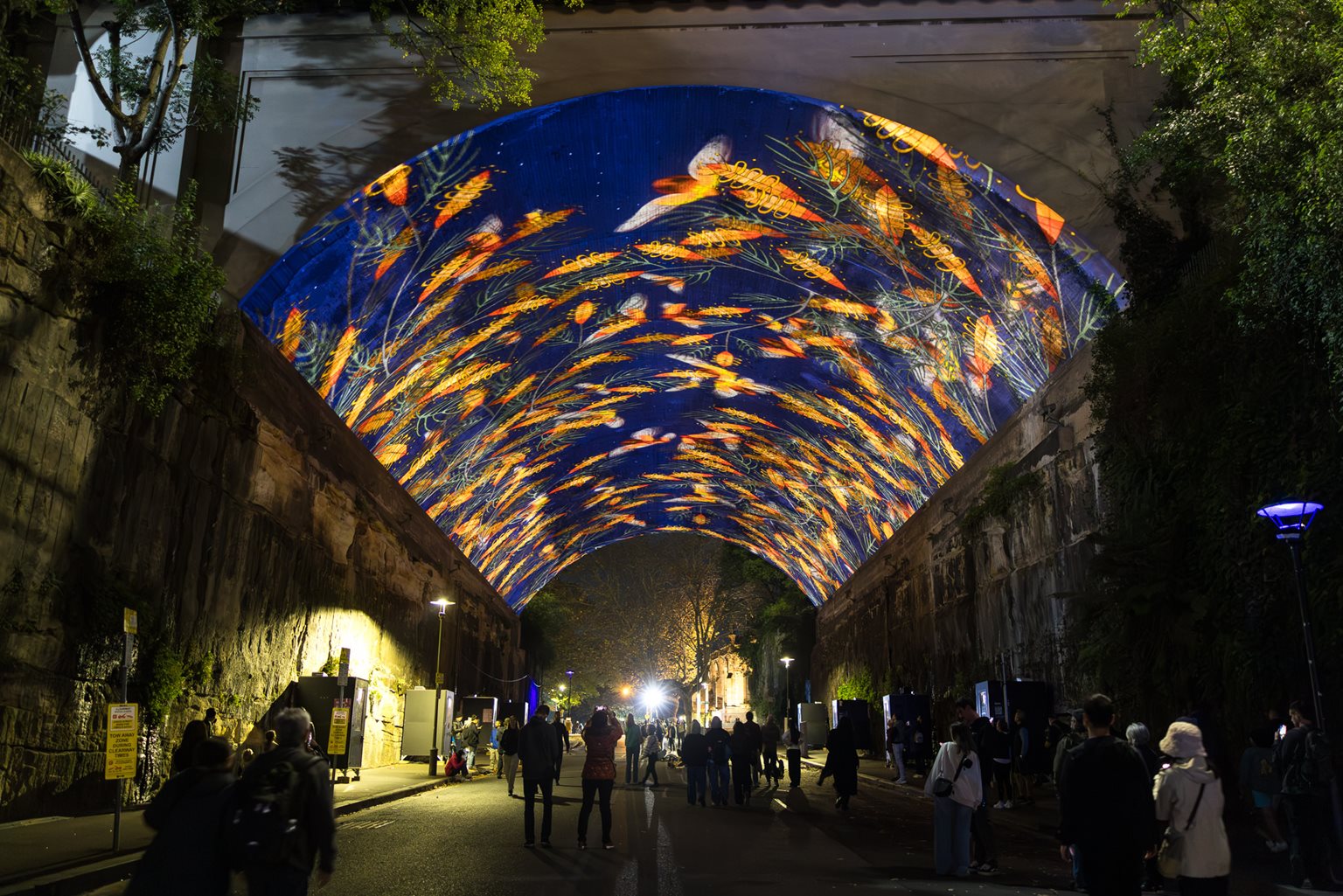 Vivid Sydney 2026 | Vivid Sydney in The Rocks | What's on in Sydney ...