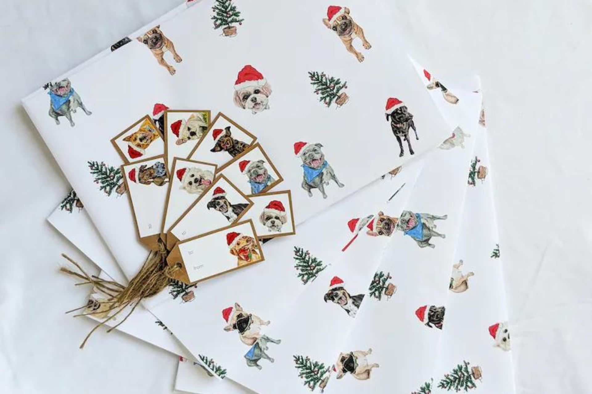 Sir Gregory & Co. | The Rocks