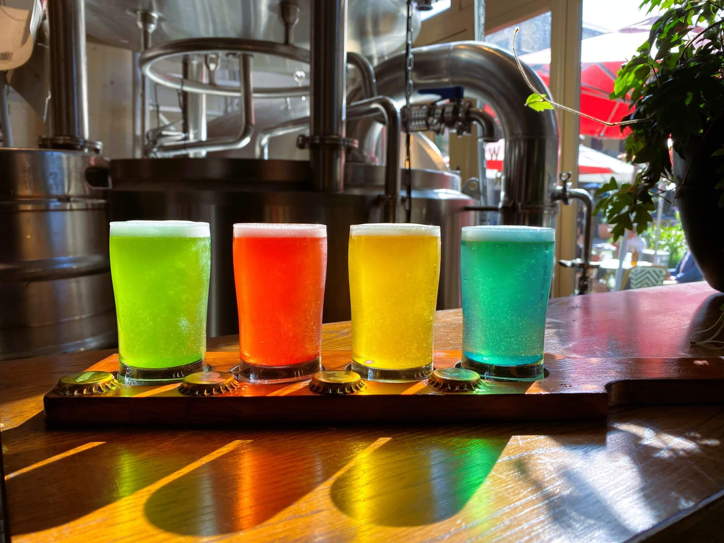 GLIVID Beer Tasting Paddle | The Rocks