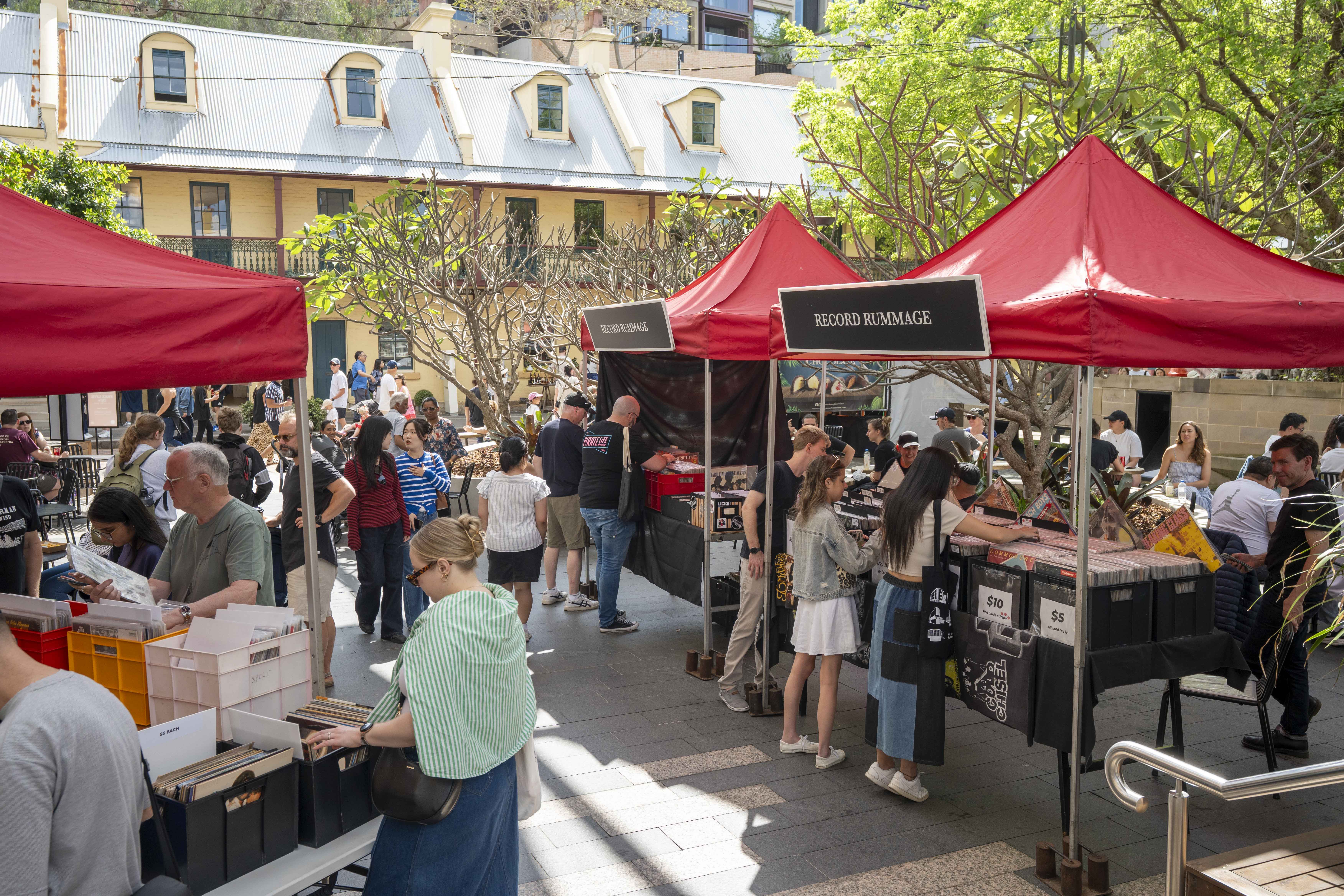 Snake Bark 1st Birthday and Record Rummage | The Rocks