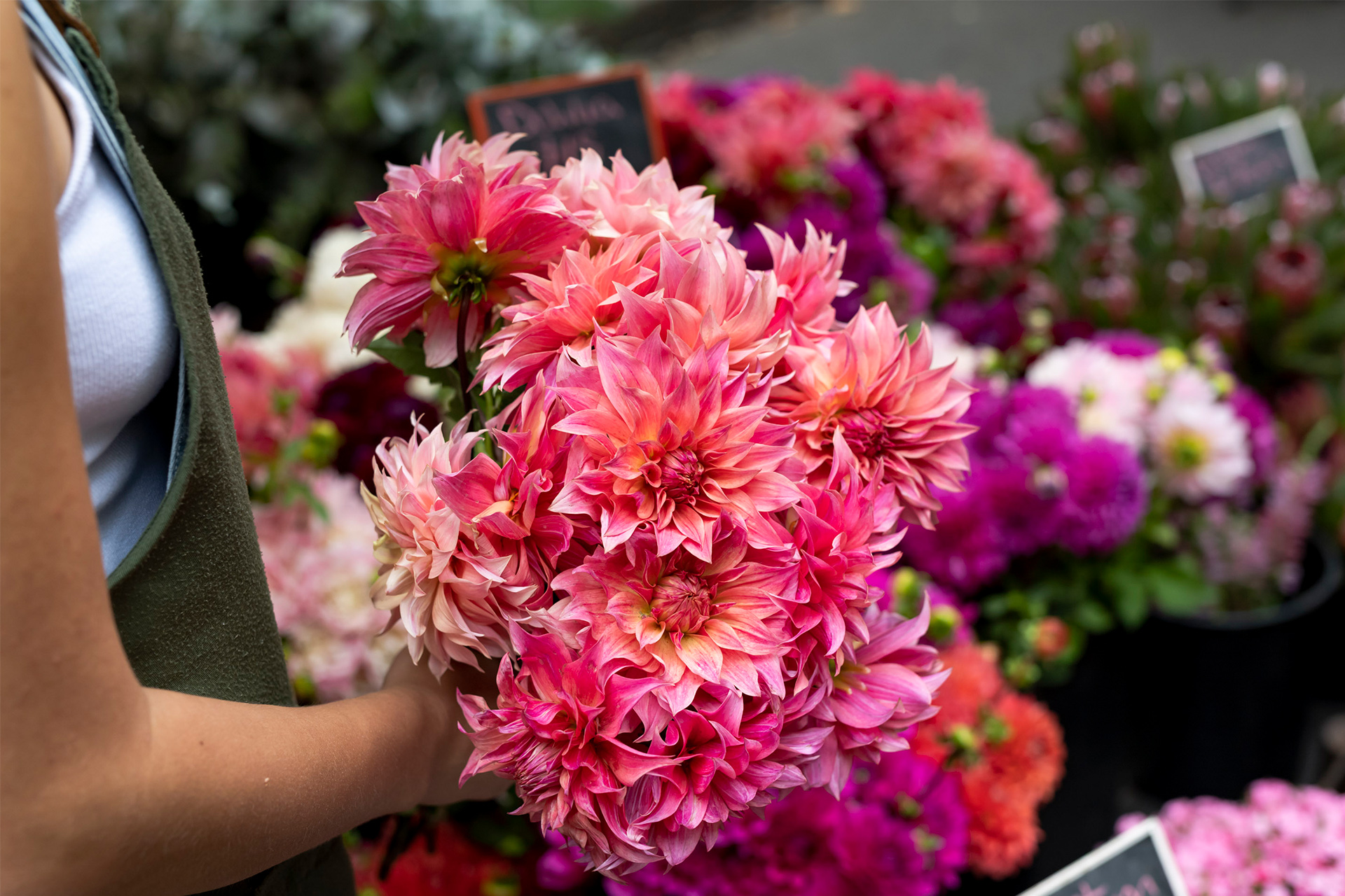 Jonima Flowers Interflora Discount Codes & Offers | 15% Off First