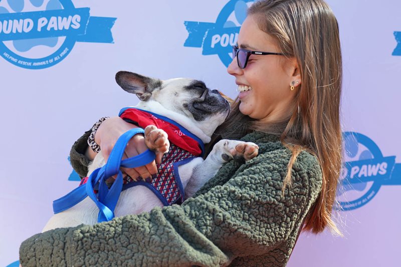 Pound Paws Dog Day | The Rocks